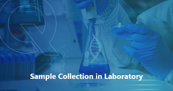Sample Collection in Laboratory